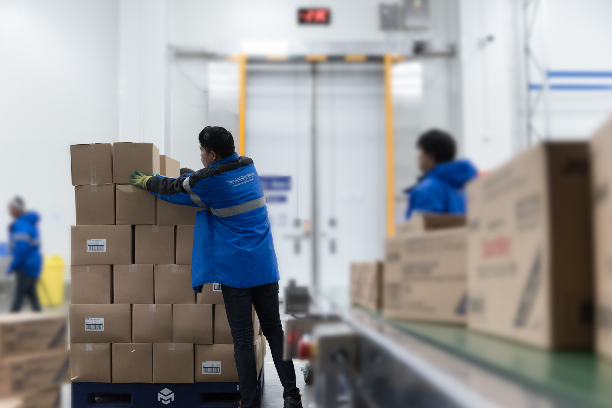 Customizable Packaging and Quality Control Services | Flexible Support ...